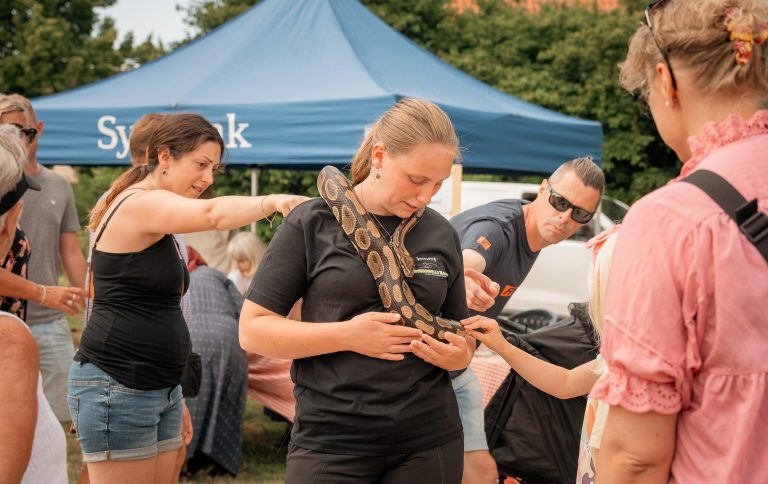 Dyrenes Dag - Slagelse Festuge